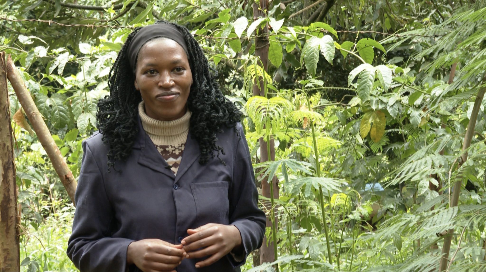 Agroforestry - Africa Farming Journal