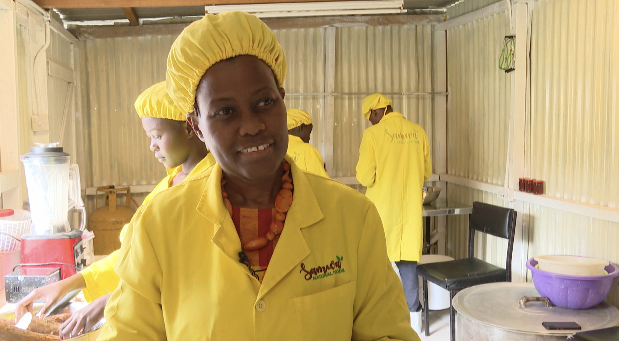 Cassava Value Addition - Africa Farming Journal